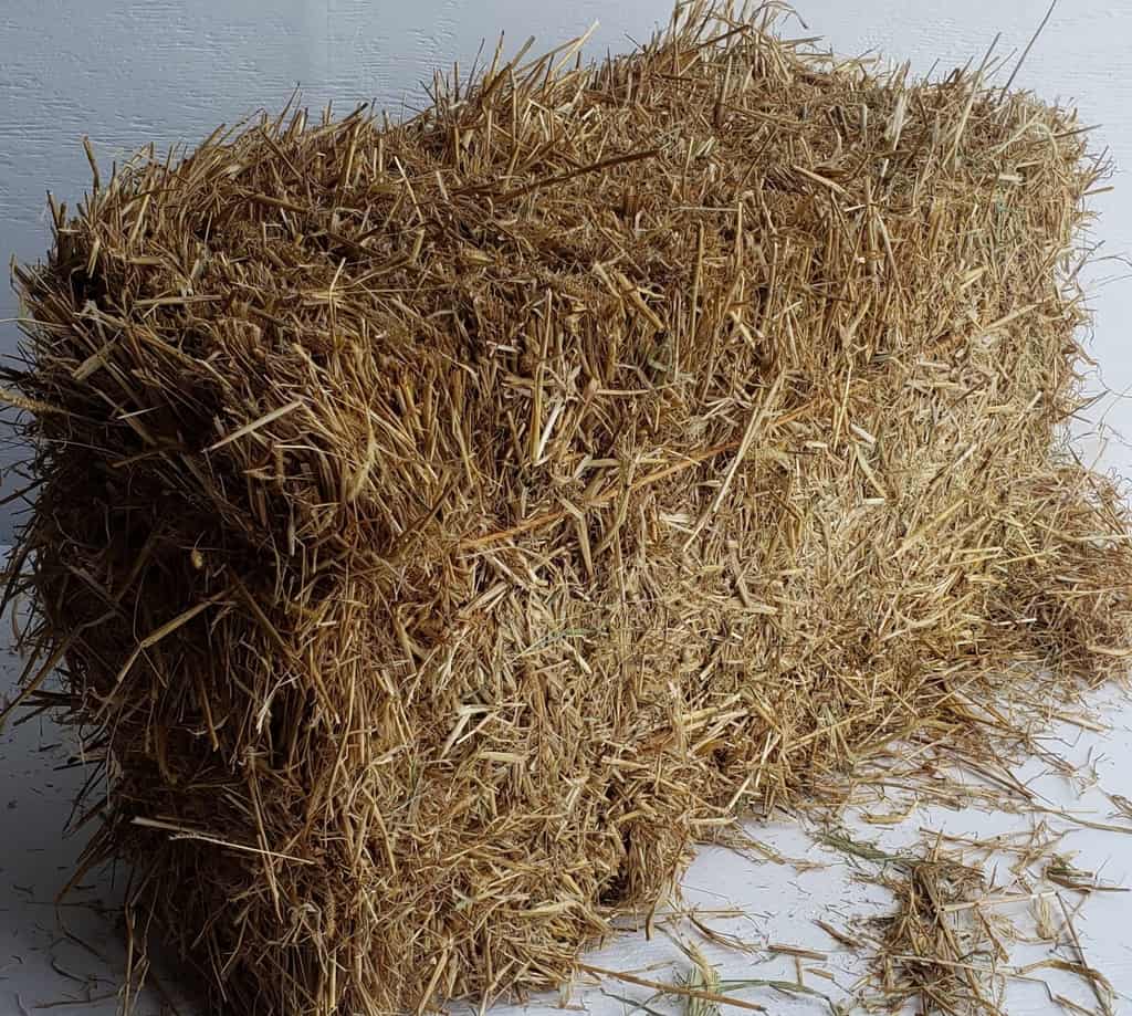 Barley Straw for Ponds - Landscape Fix