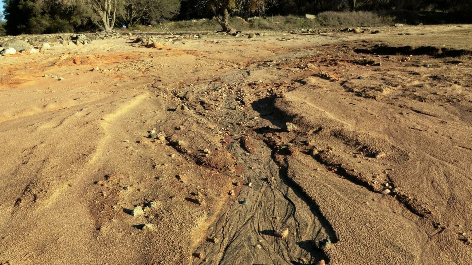 Erosion Control Plants for Your Landscape and Slopes - Landscape Fix