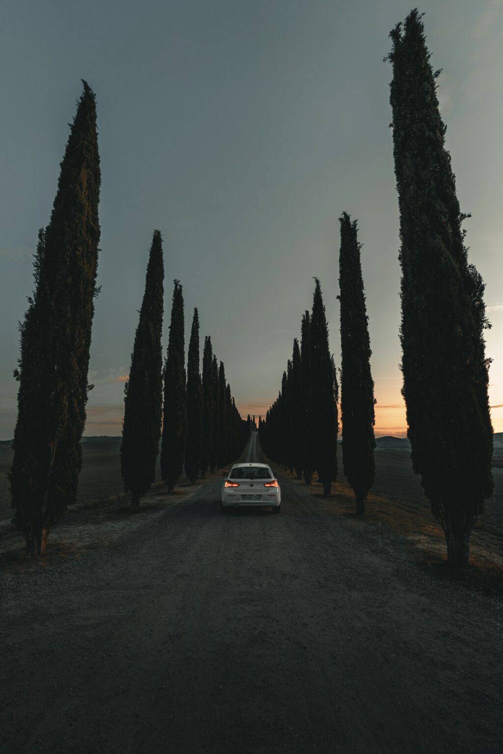 Landscaping with Italian Cypress Trees - Landscape Fix