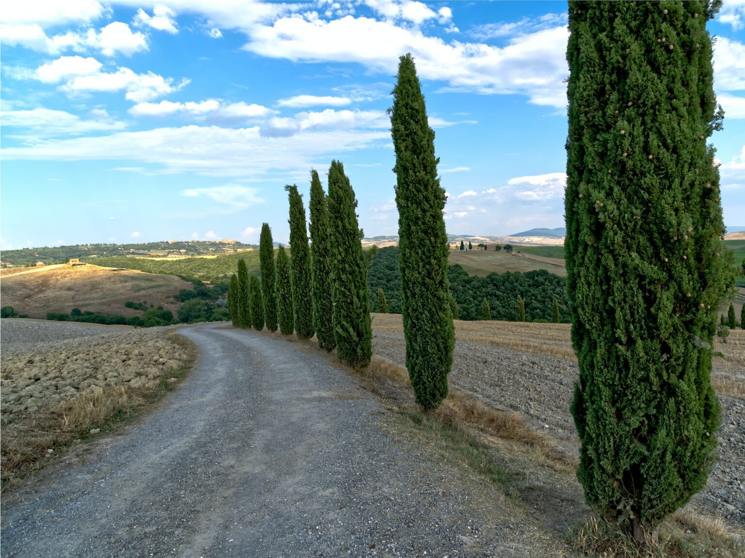 Landscaping with Italian Cypress Trees - Landscape Fix