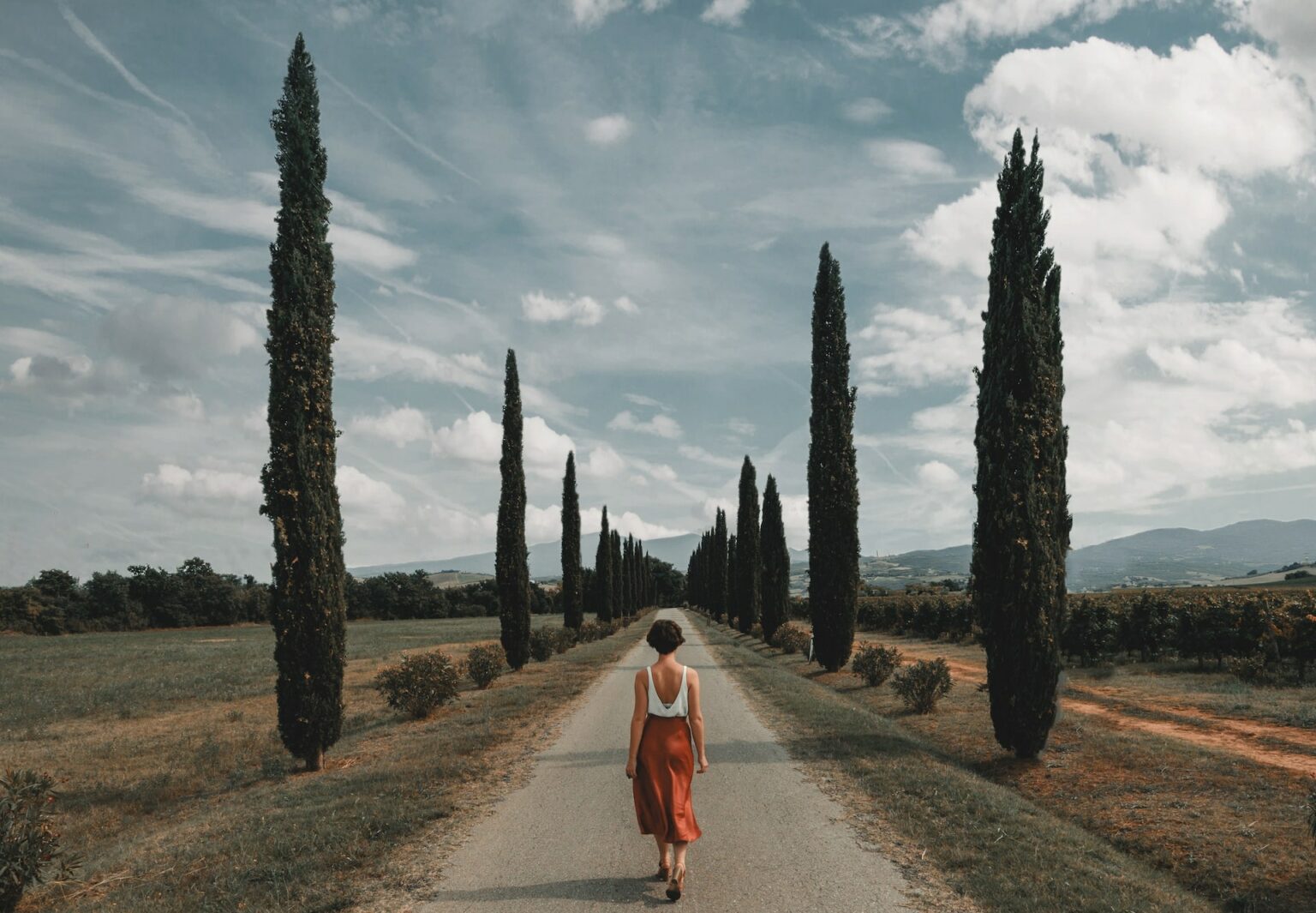 Landscaping with Italian Cypress Trees - Landscape Fix