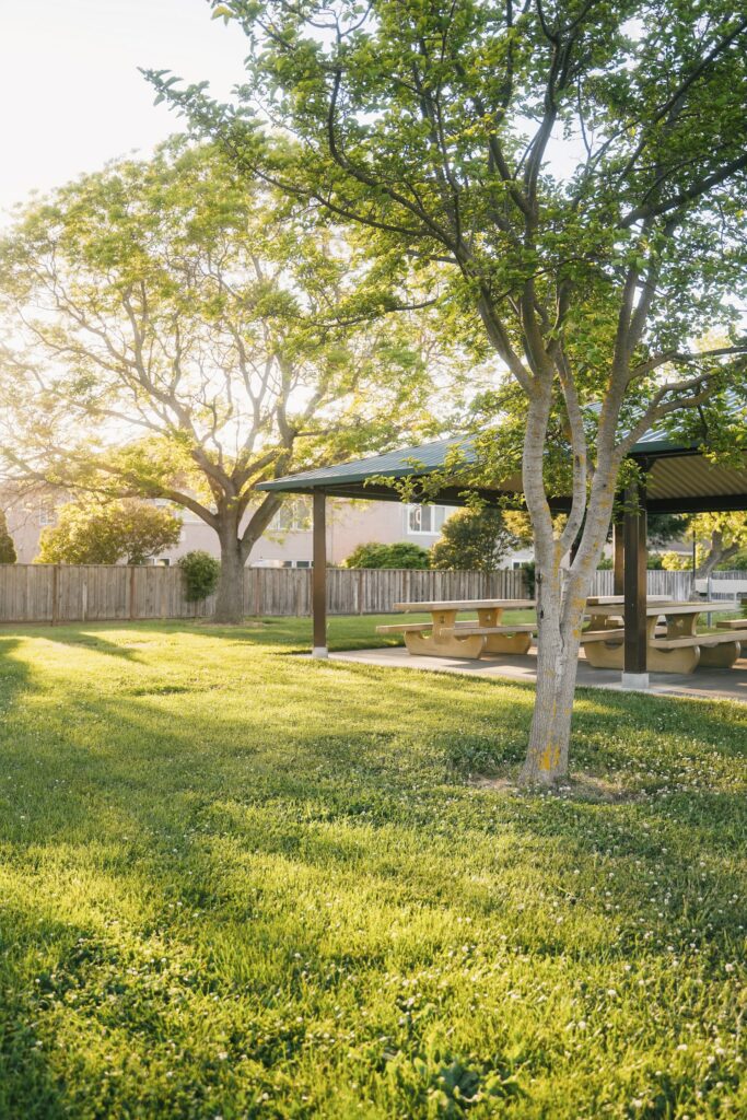 Cheap Hardscape Ideas: Budget-Friendly but Beautiful - Landscape Fix